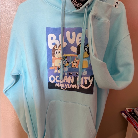 Other | Blue Ocean City Bluey Graphic Hoodie | Poshmark